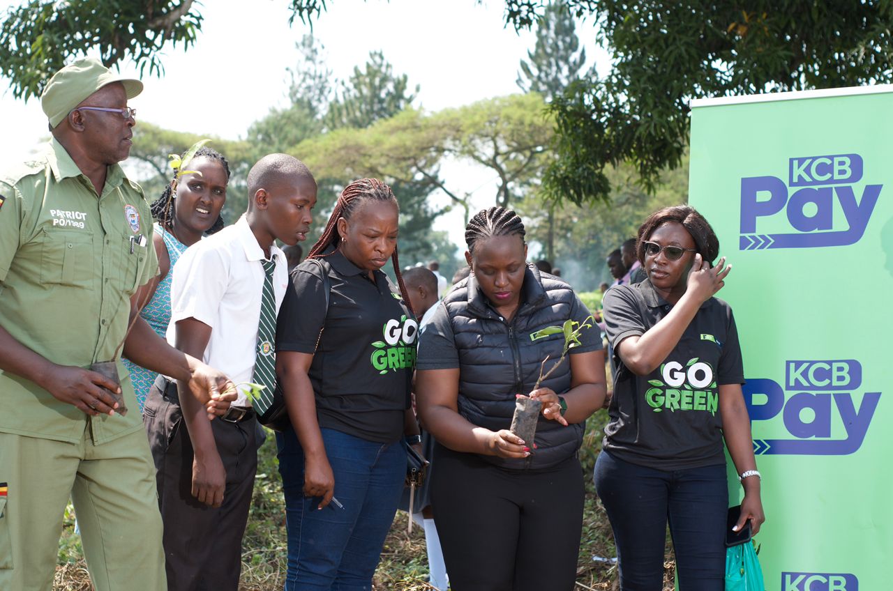 KCB Bank Uganda in Tree Planting Drive to Tackle Climate Change